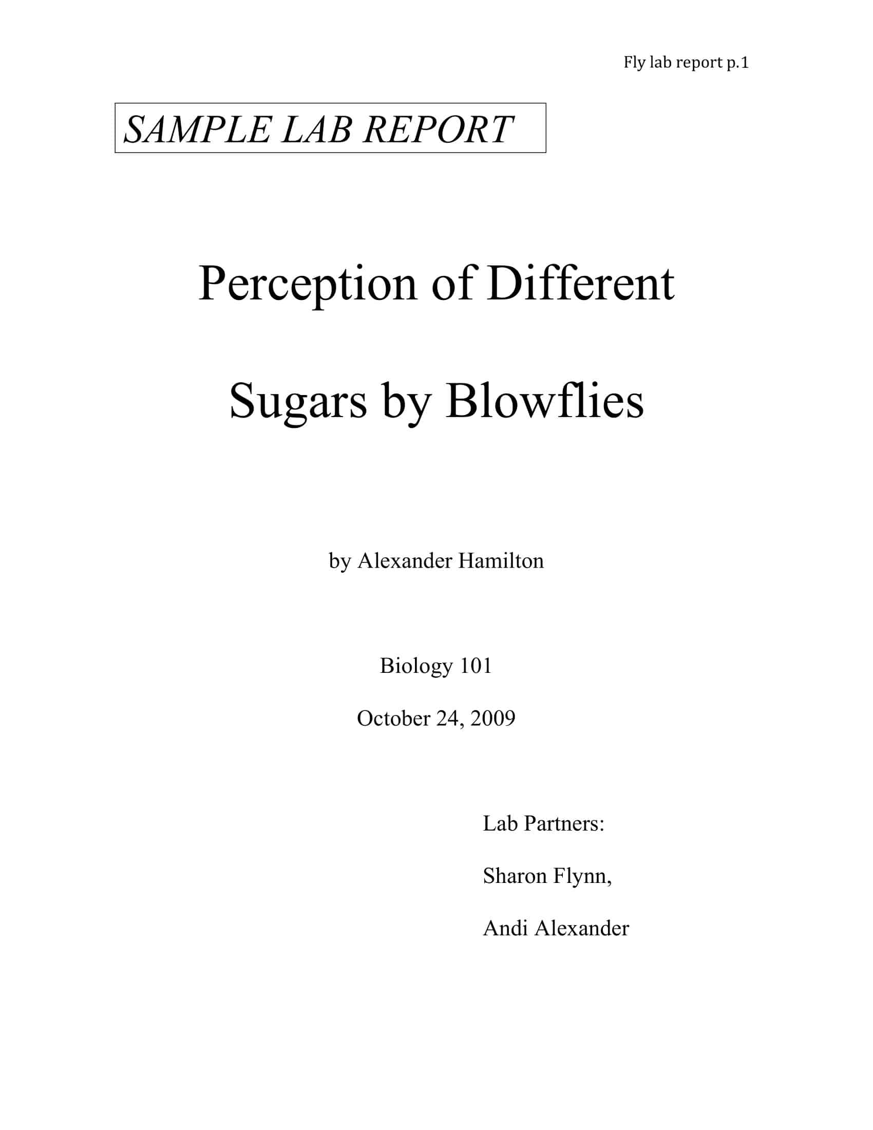 Free Printable Lab Report Templates PDF Word 