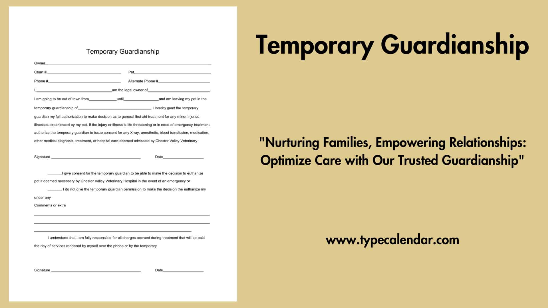 Free Temporary Guardianship Forms Template PDF Word 