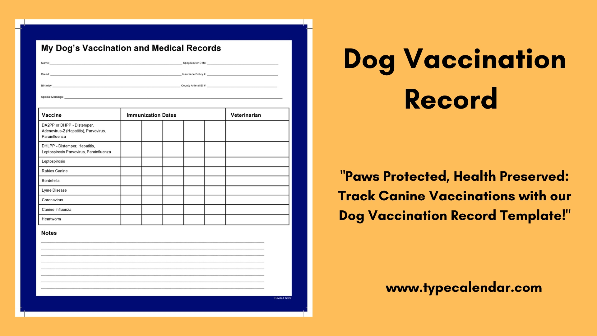Free Printable Dog Vaccination Record Template PDF Word Excel Health