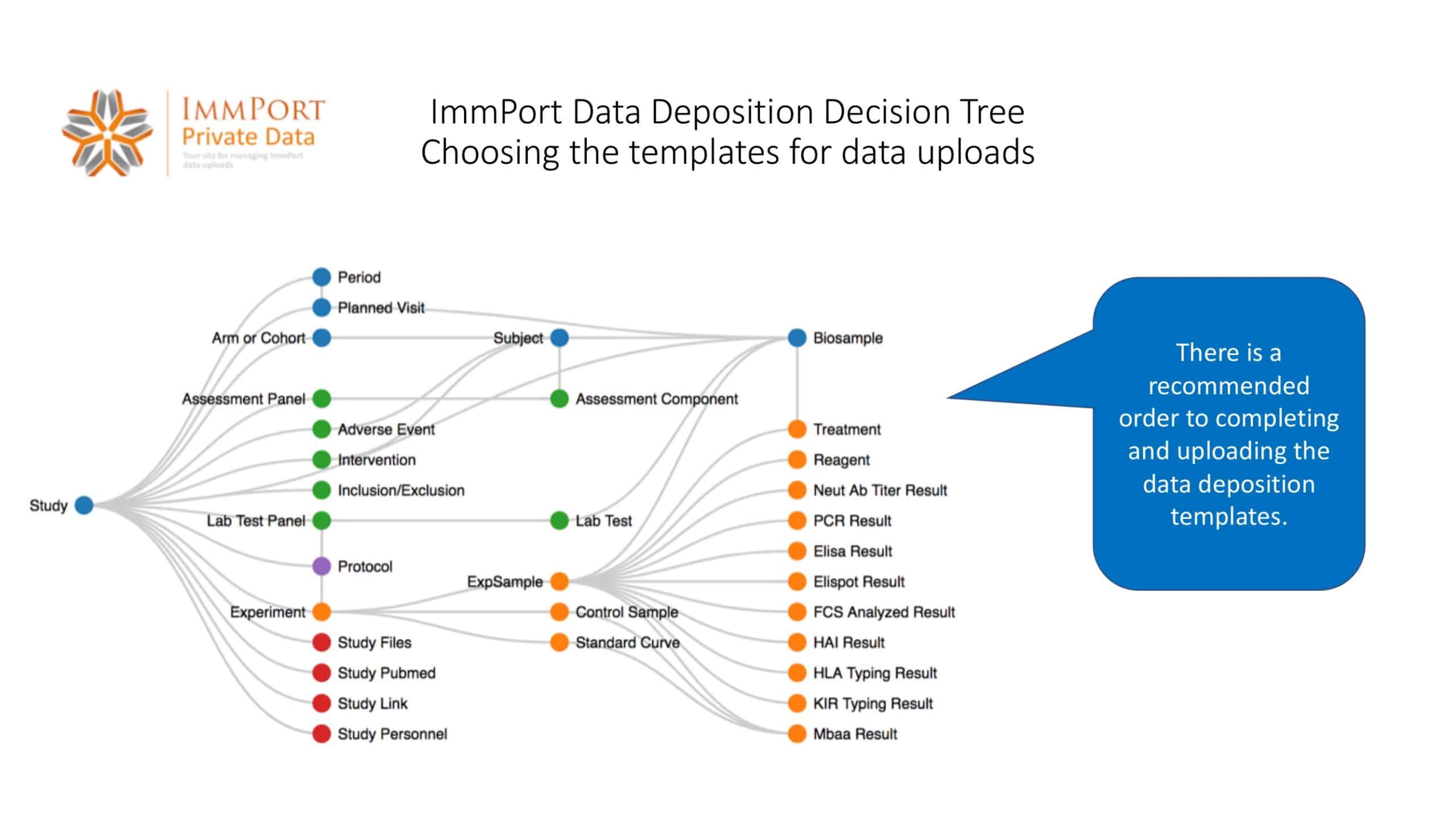 Free Printable Decision Tree Templates Pdf Word Excel