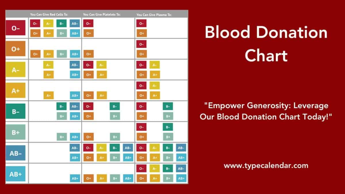 Free Printable Blood Donation Charts [Types Explained - A, B, AB And O]