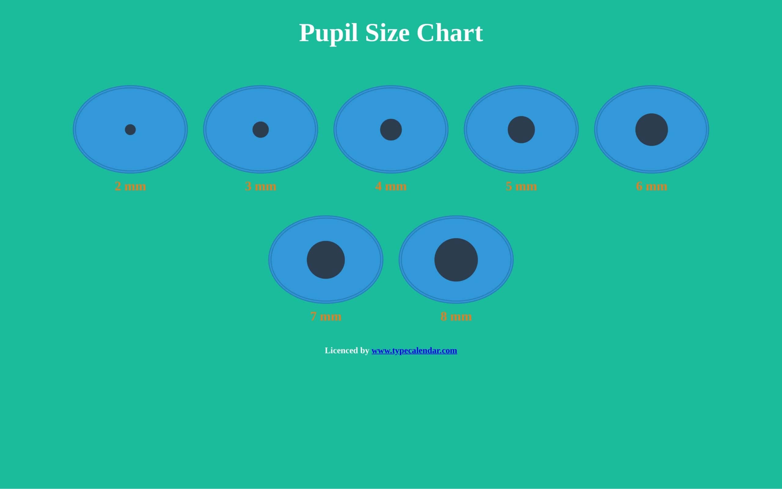 Pupil Sizing Chart Portal posgradount edu pe Pupil Sizing Chart Portal posgradount edu pe